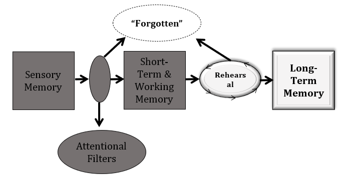 Lab 6. Serial Position Effects – Laboratory in Cognition Student Manual