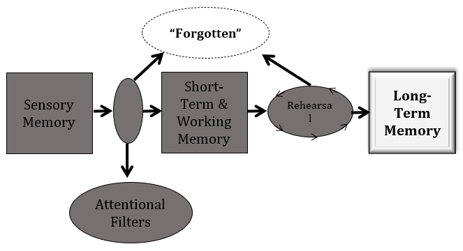 Lab 11 False Memory Remembering Things That Never Happened