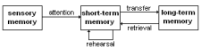 Chapter 5. Short-Term and Working Memory – Cognition