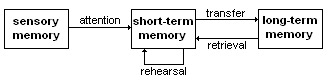 Chapter 5. Short-Term and Working Memory – Cognition